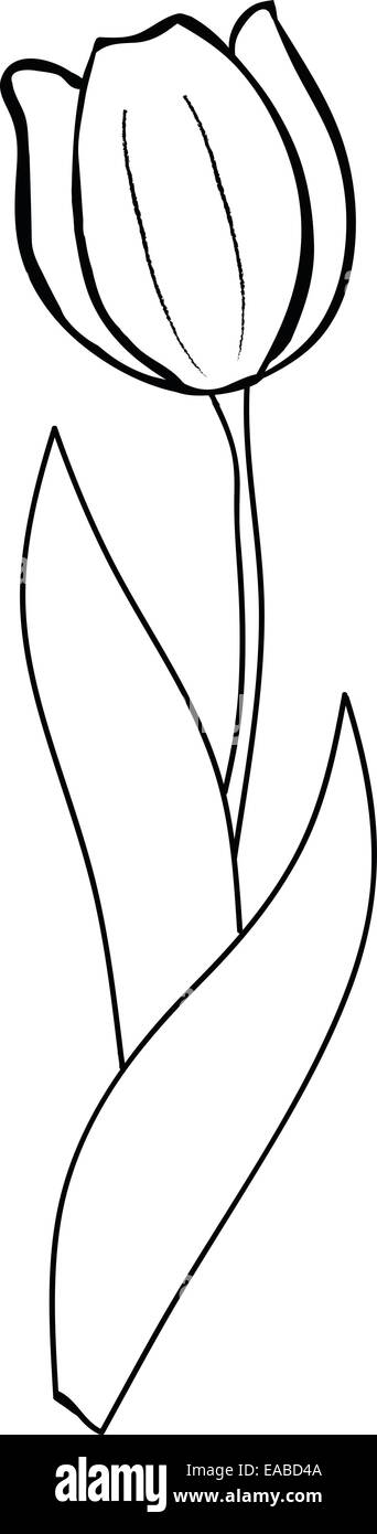 Young plants white background Black and White Stock Photos & Images - Alamy