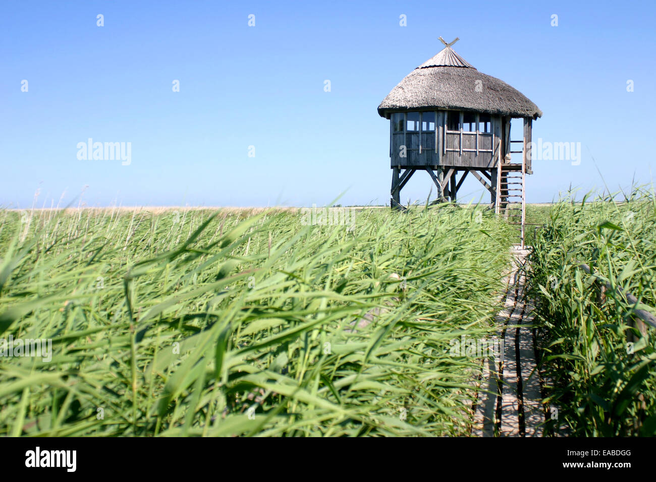 Birdwatching cabin hi-res stock photography and images - Alamy