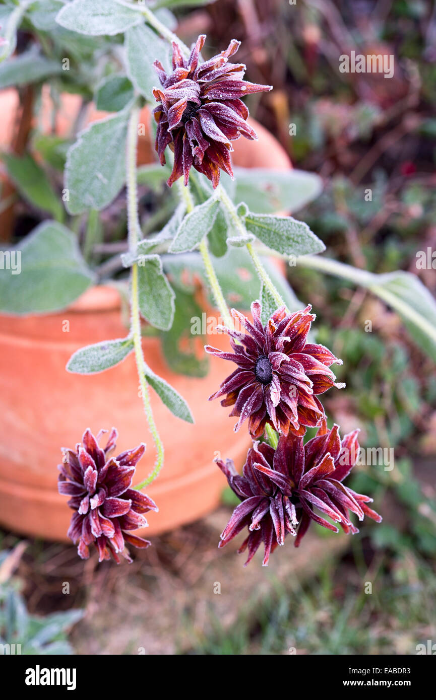 Cherokee sunset hi-res stock photography and images - Alamy