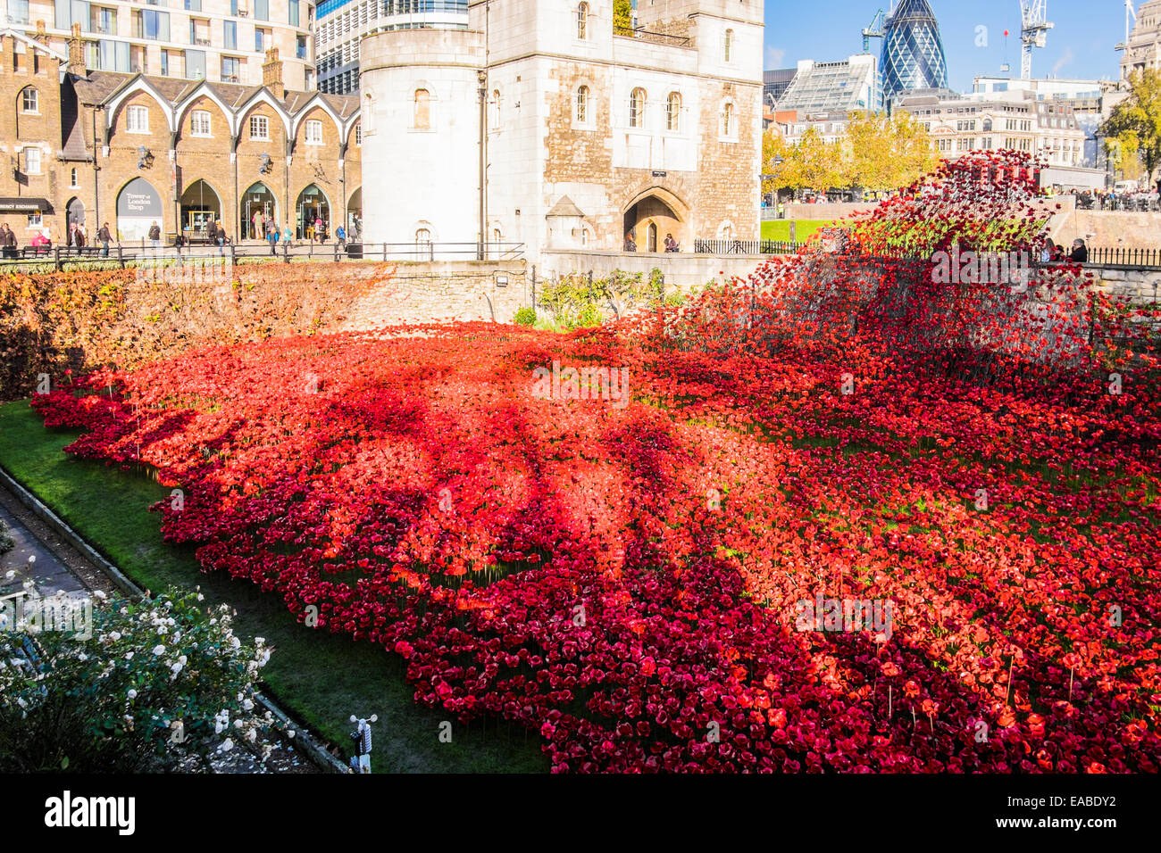 Blood Swept Lands & Seas of Red at the Tower of London Stock Photo - Alamy