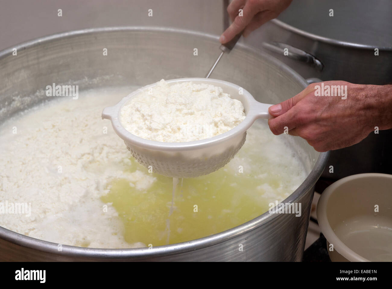 Cheese knowledge hi-res stock photography and images - Alamy