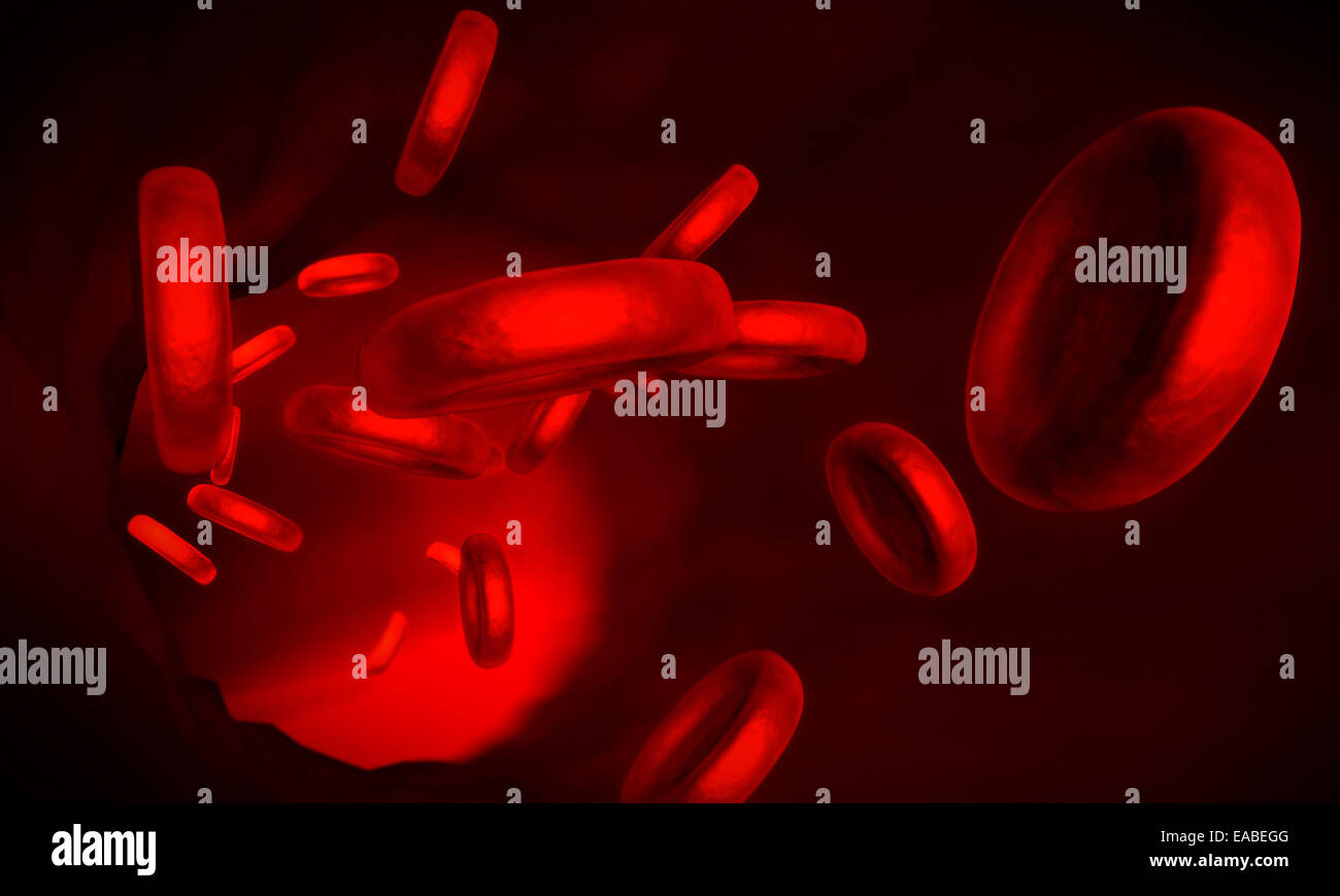 Red blood cells Stock Photo - Alamy