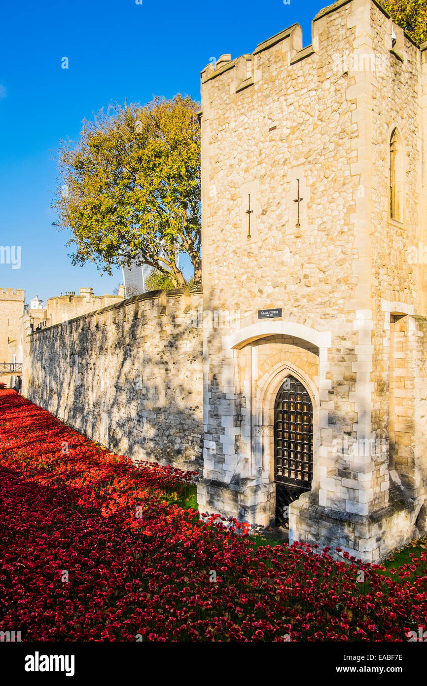 Blood Swept Lands & Seas of Red at the Tower of London Stock Photo - Alamy