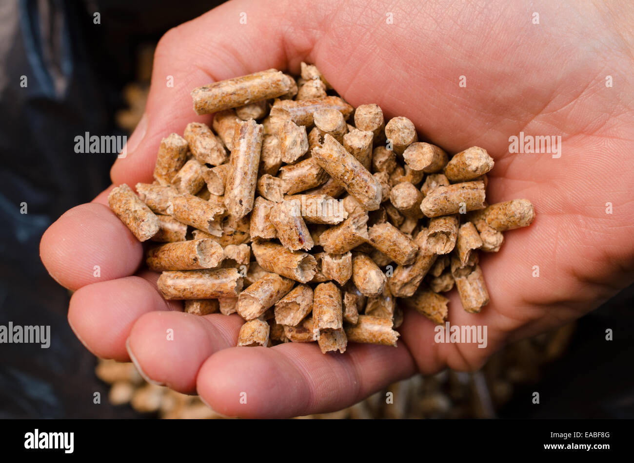 Hand holding wood pellets Stock Photo - Alamy