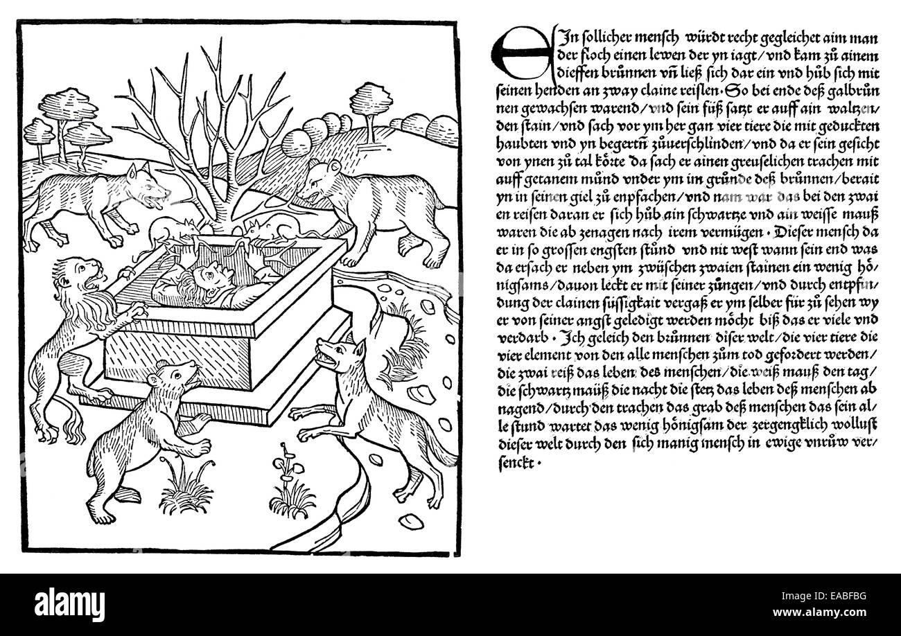 Historic print, woodcut and text page from The Fables of Bidpai in ...