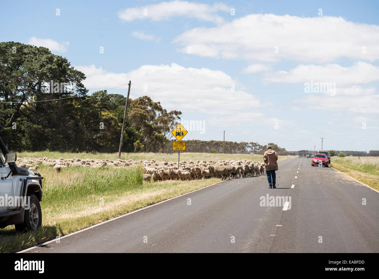 Sheep Crossing High Resolution Stock Photography and Images - Alamy