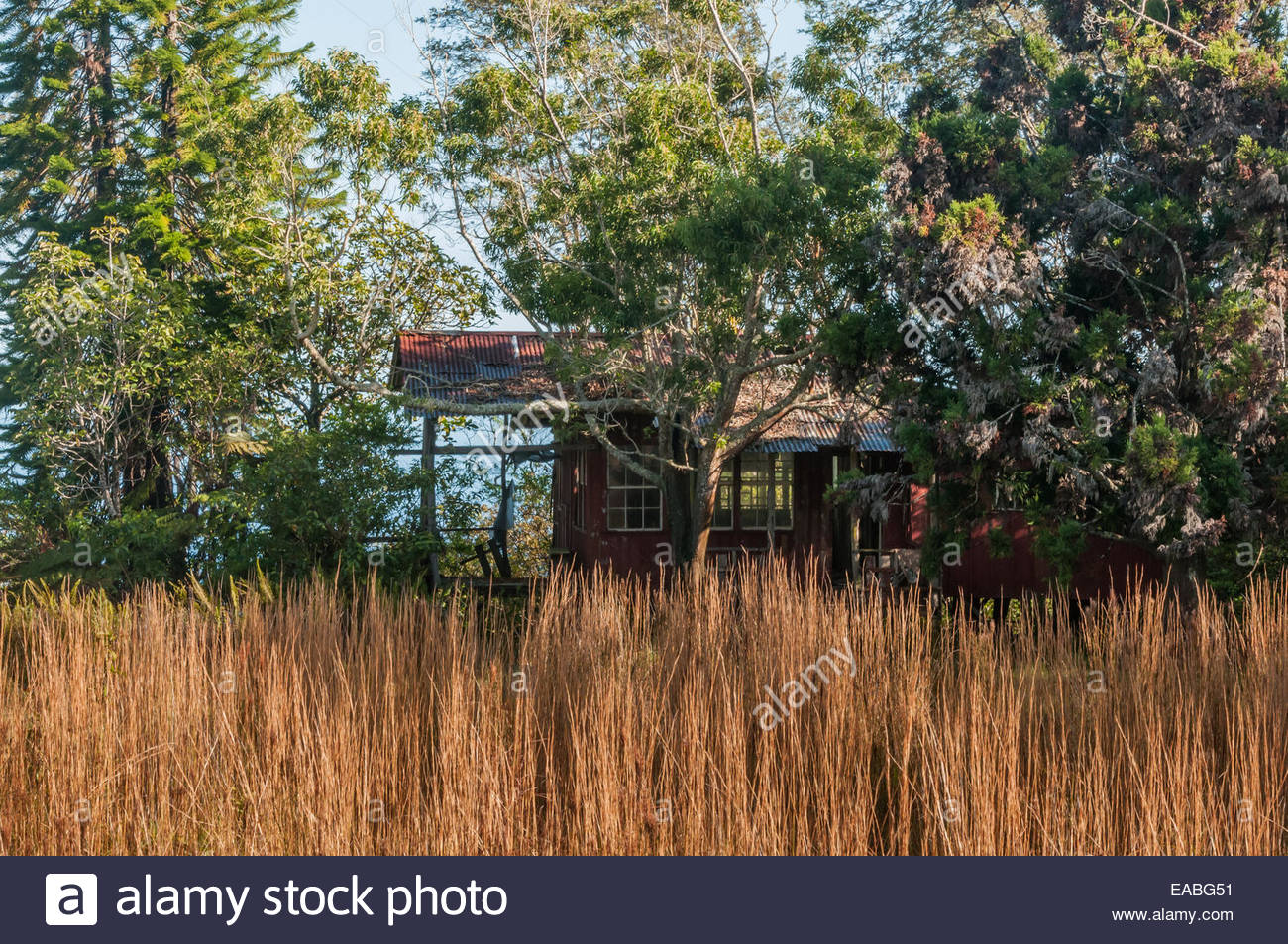 Hidden Shack High Resolution Stock Photography and Images - Alamy