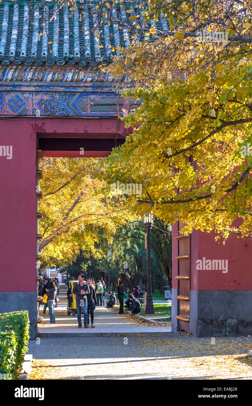 Ditan hi-res stock photography and images - Alamy