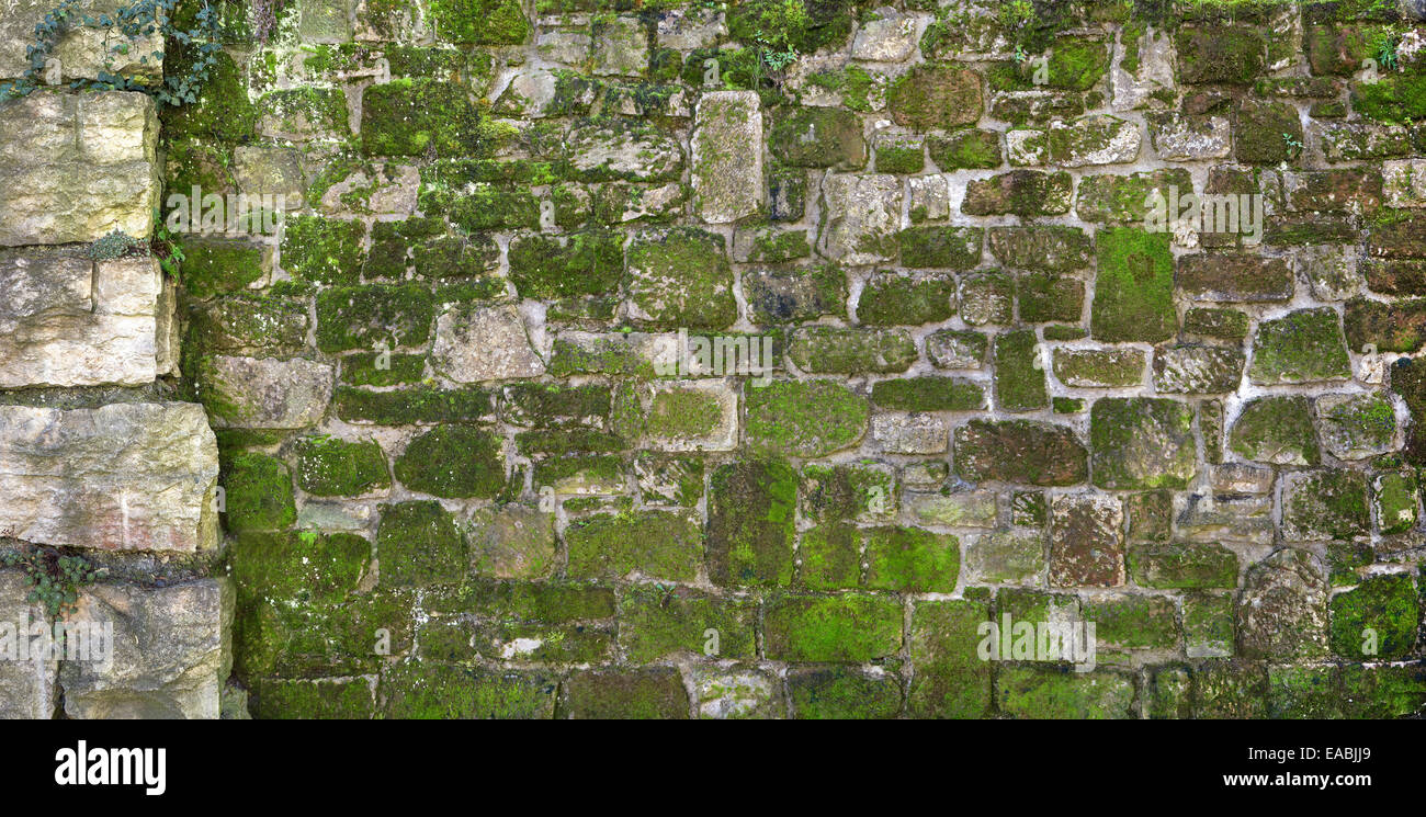 Moss grown stone wall hi-res stock photography and images - Alamy