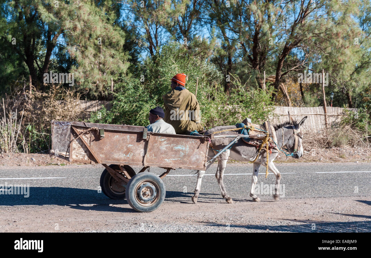 Donkey cart in Morocco, Africa Stock Photo - Alamy