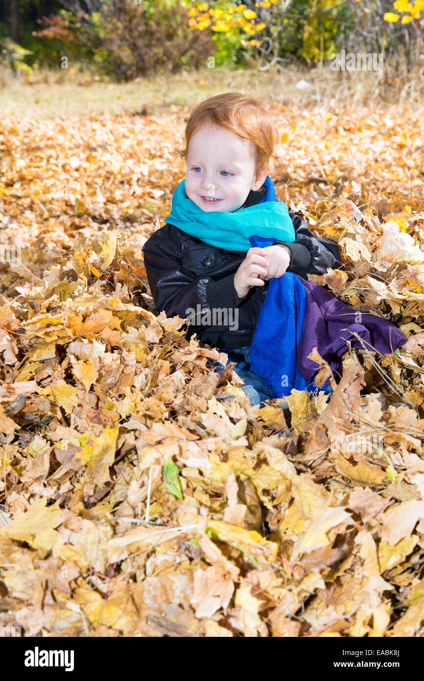 Fall. Adorable child boy with leaves in autumn park Stock Photo - Alamy