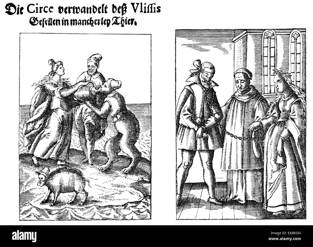 Aegidius albertinus hi-res stock photography and images - Alamy