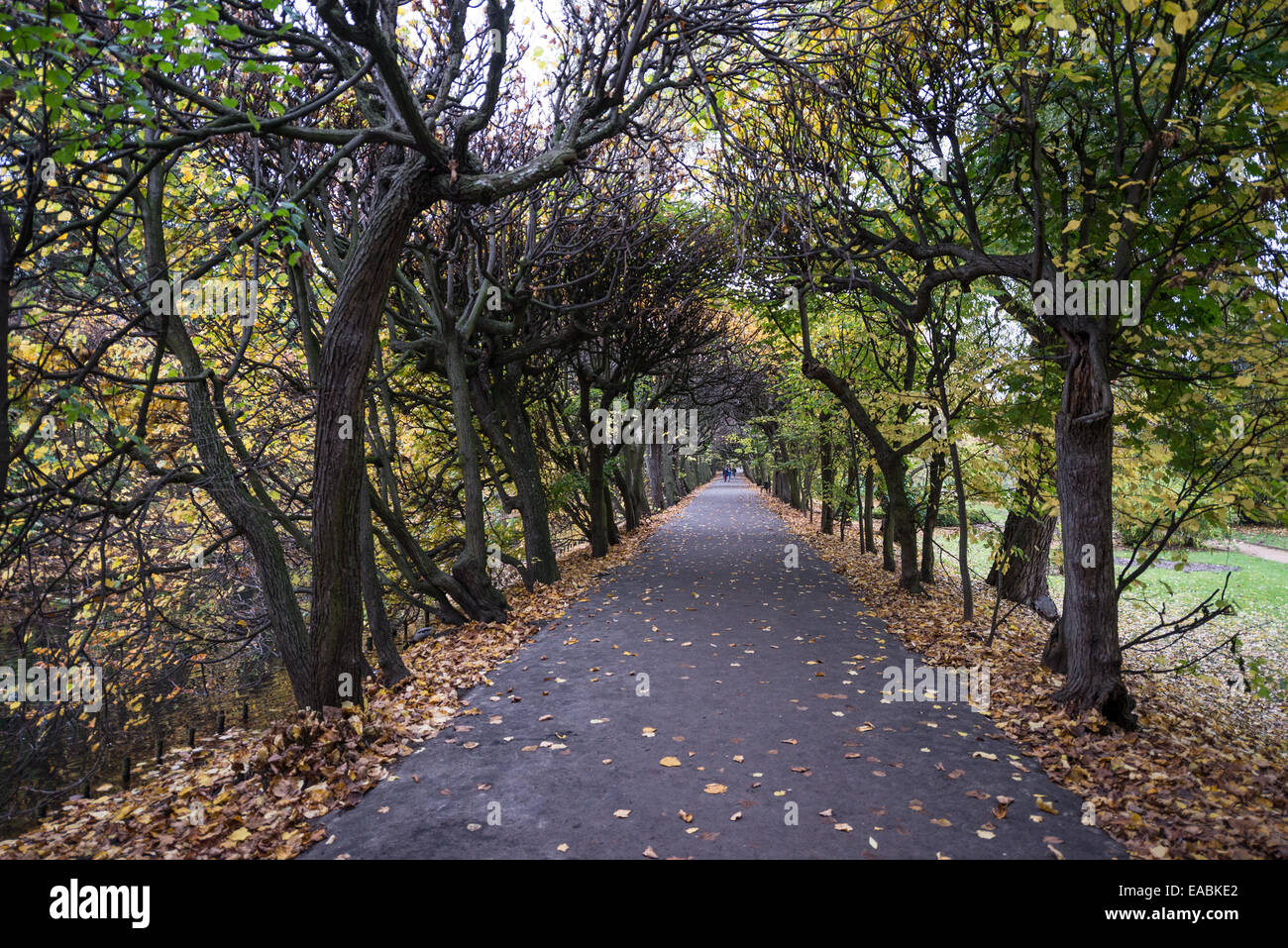 Oliwski Park in Gdansk, Poland Stock Photo - Alamy