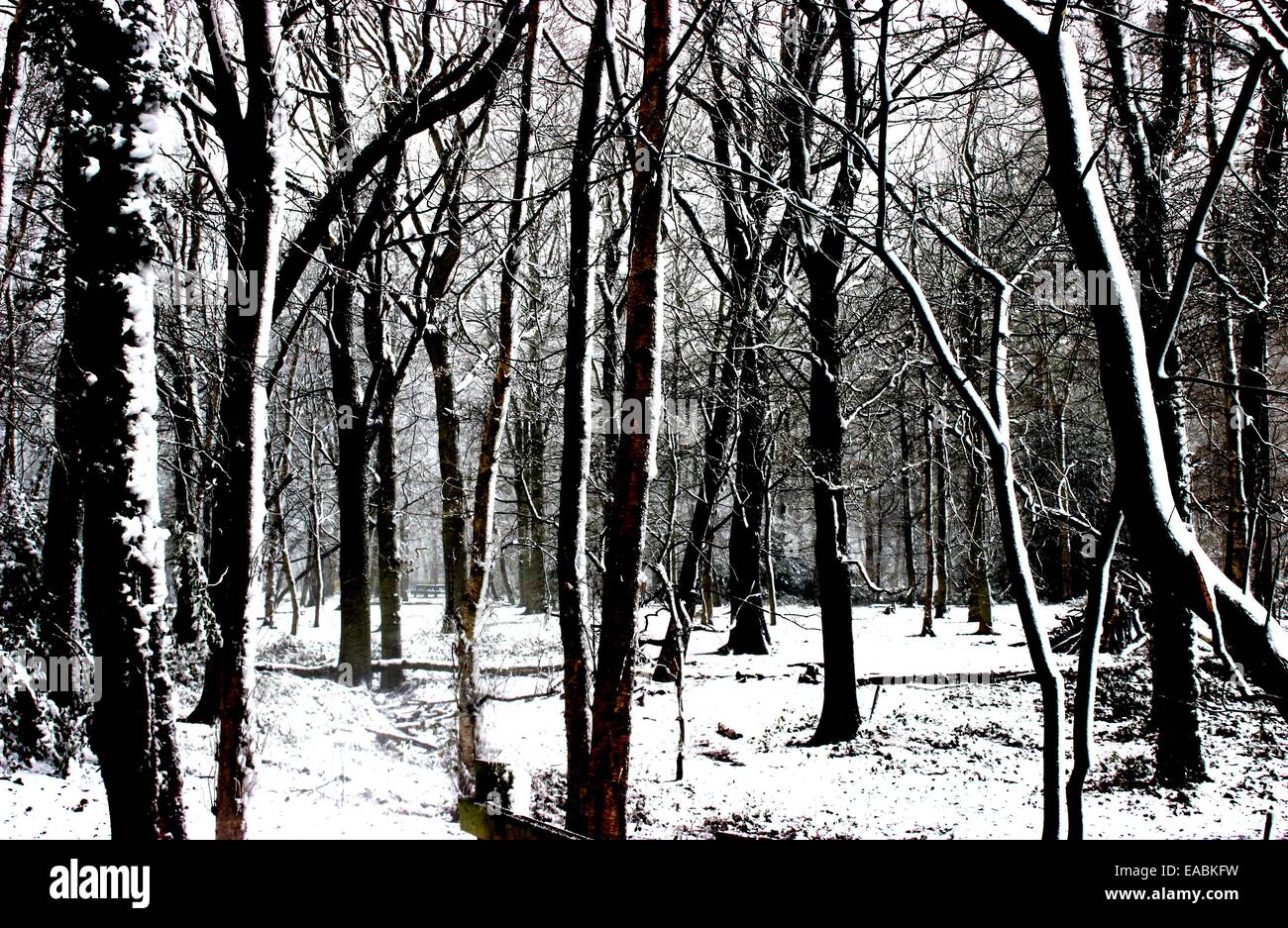 Colchester winter hi-res stock photography and images - Alamy