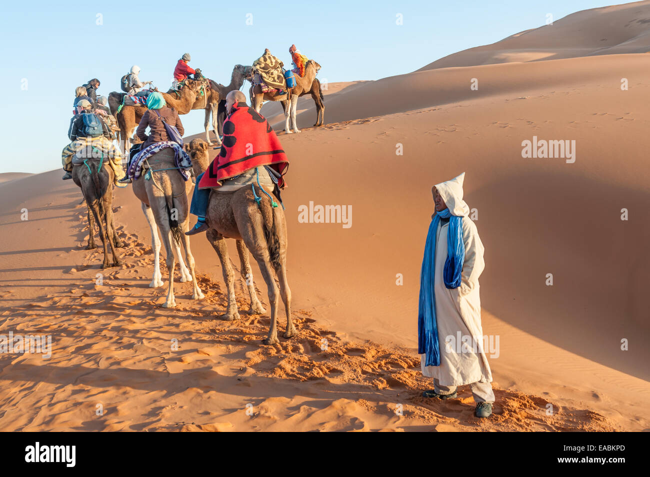 Camel Caravan Images