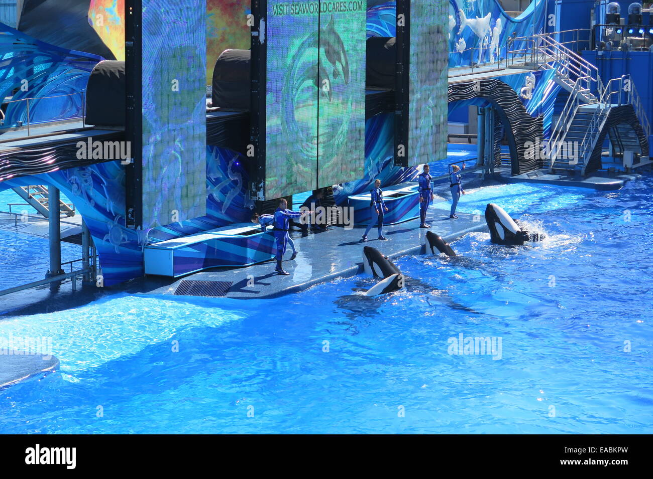 Seaworld hi-res stock photography and images - Alamy