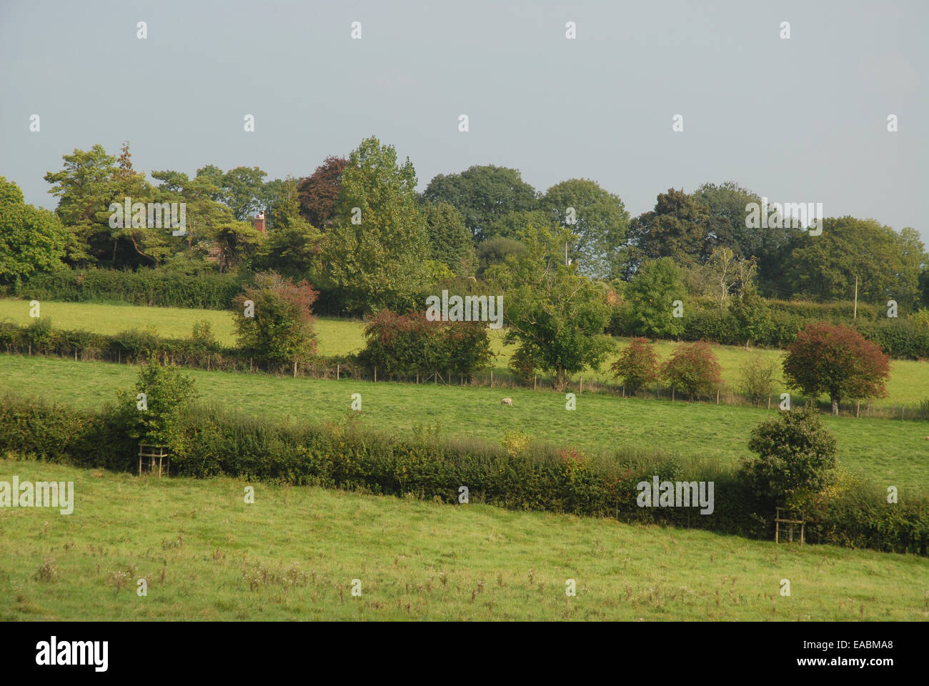 English landscape change hi-res stock photography and images - Alamy