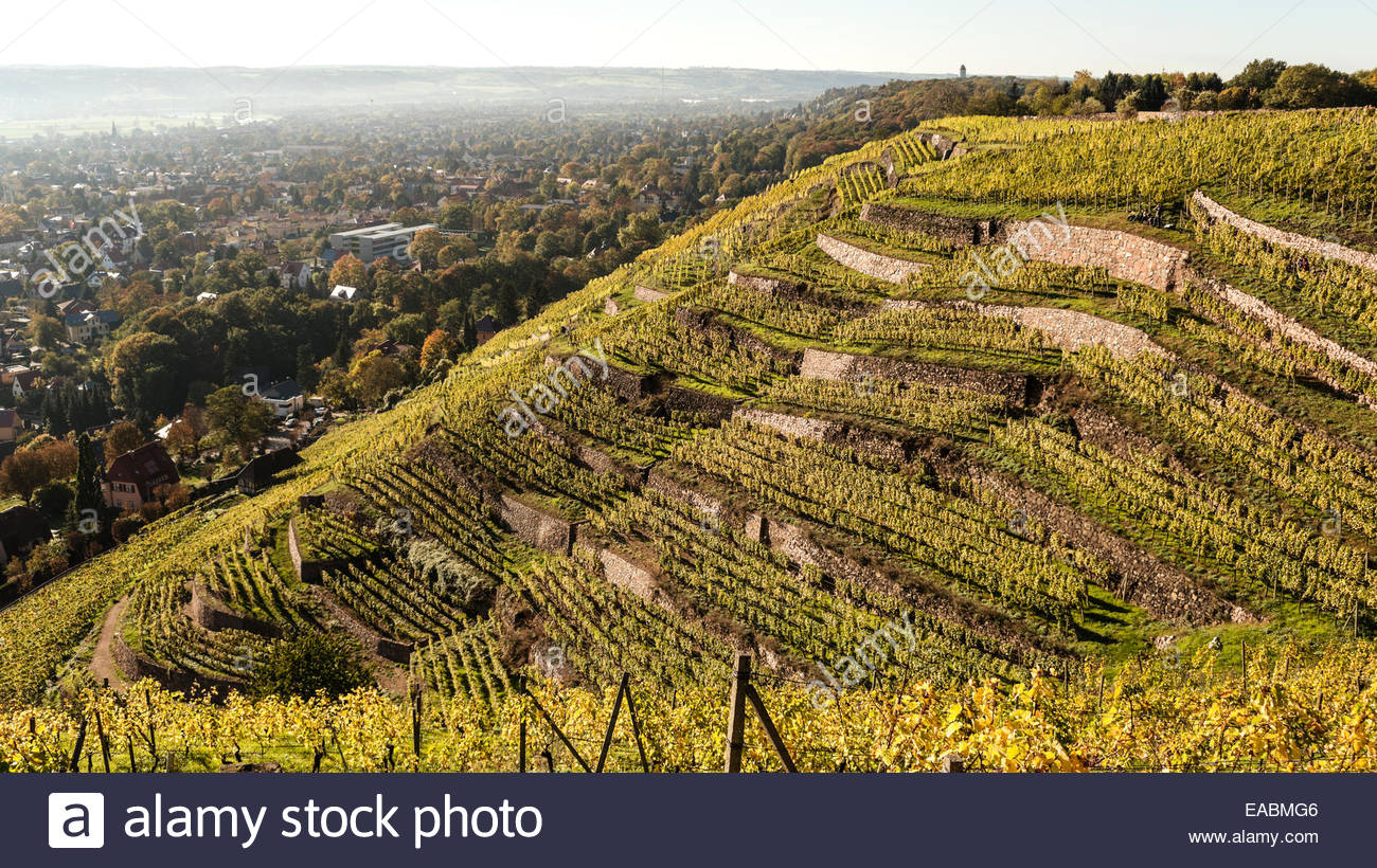 Radebeul Stock Photos & Radebeul Stock Images - Alamy