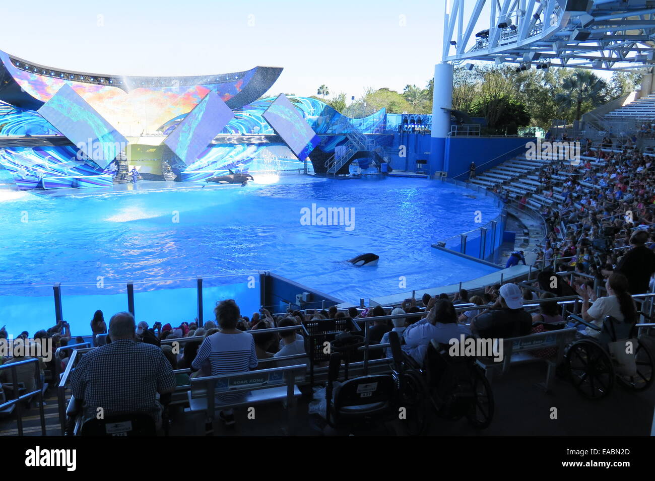 Orlando florida usa fish hi-res stock photography and images - Alamy