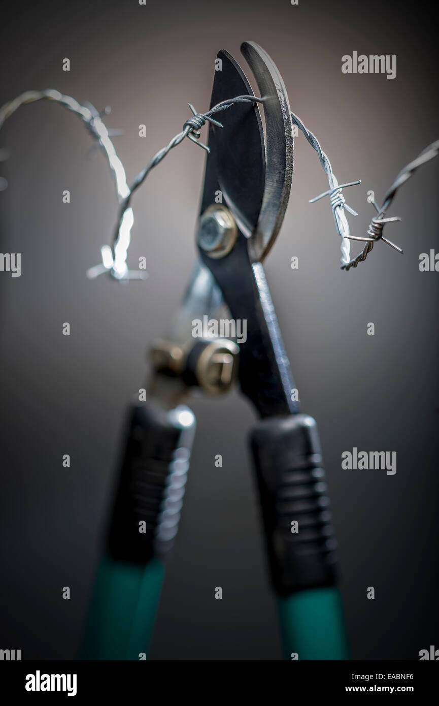 Wire cutters hi-res stock photography and images - Alamy