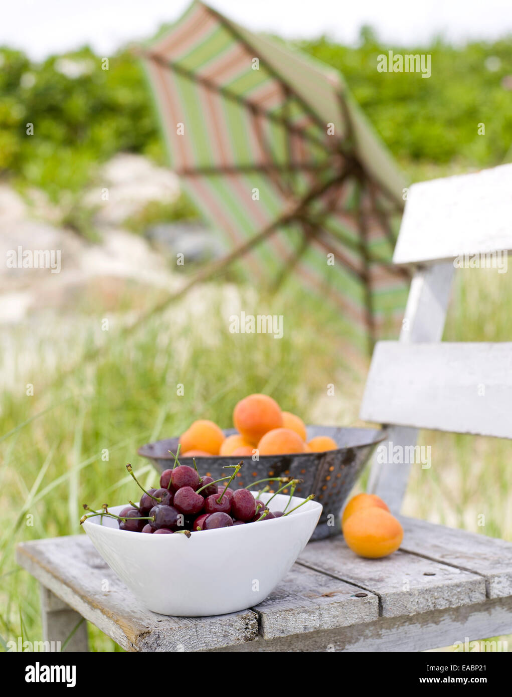 Bowls of Cherries and Apricots sitting on wooden folding chair by ...