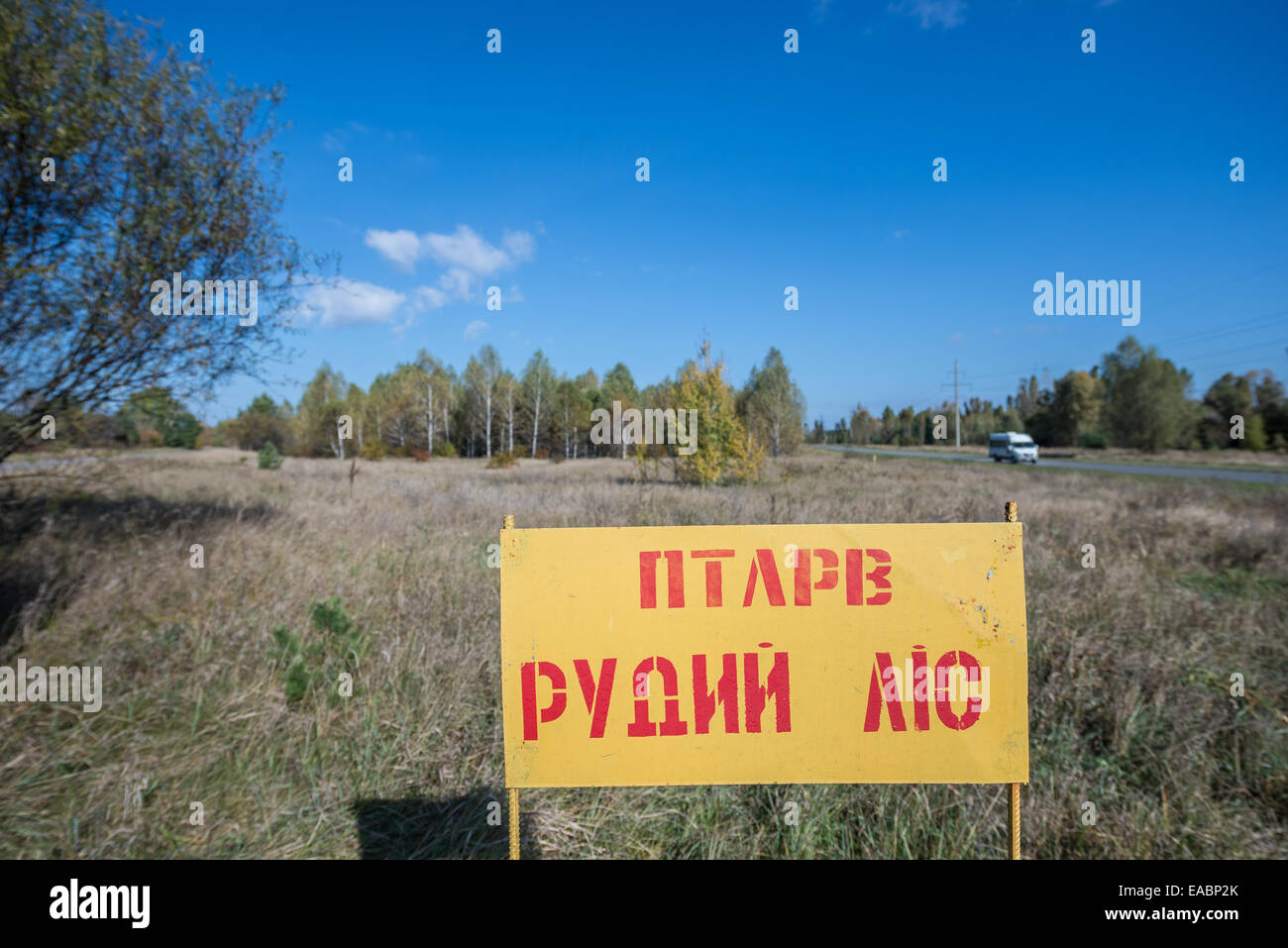 Red forest in chernobyl hi-res stock photography and images - Alamy