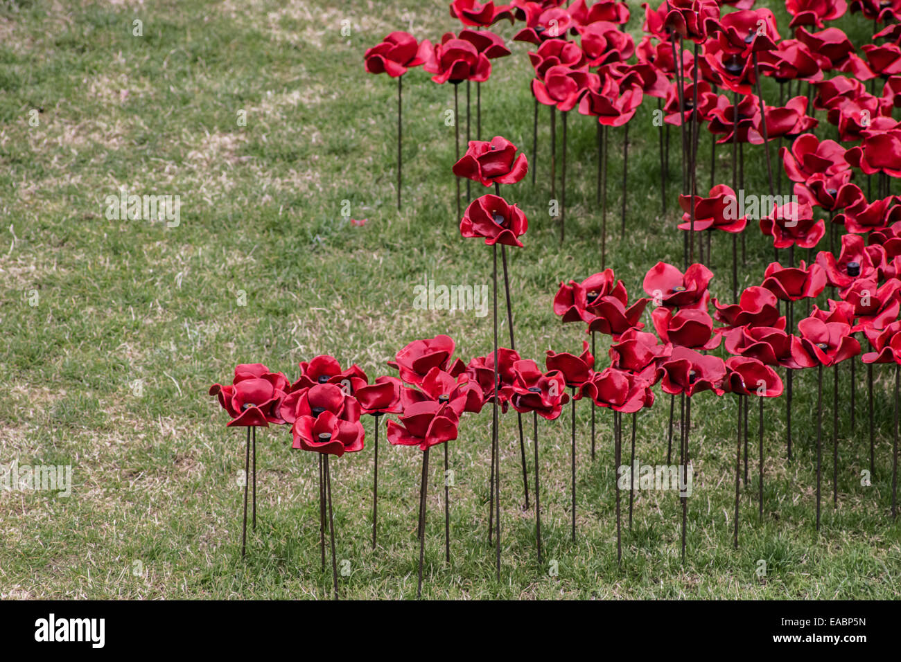 Ceramic Poppies Tower of London Stock Photo - Alamy