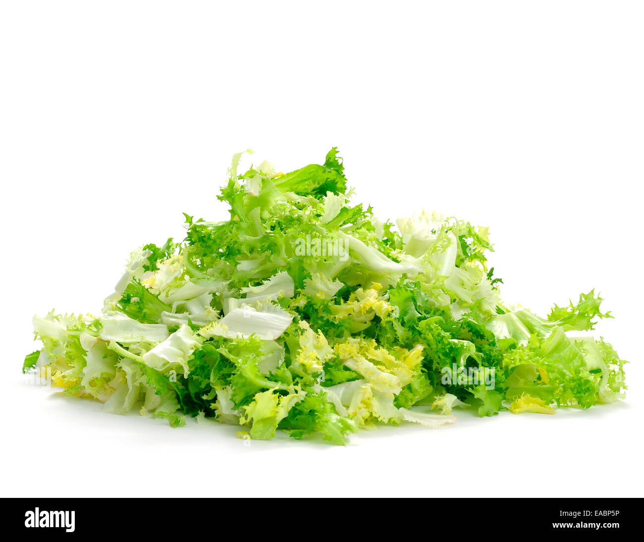 a pile of chopped escarole endive on a white background Stock Photo - Alamy