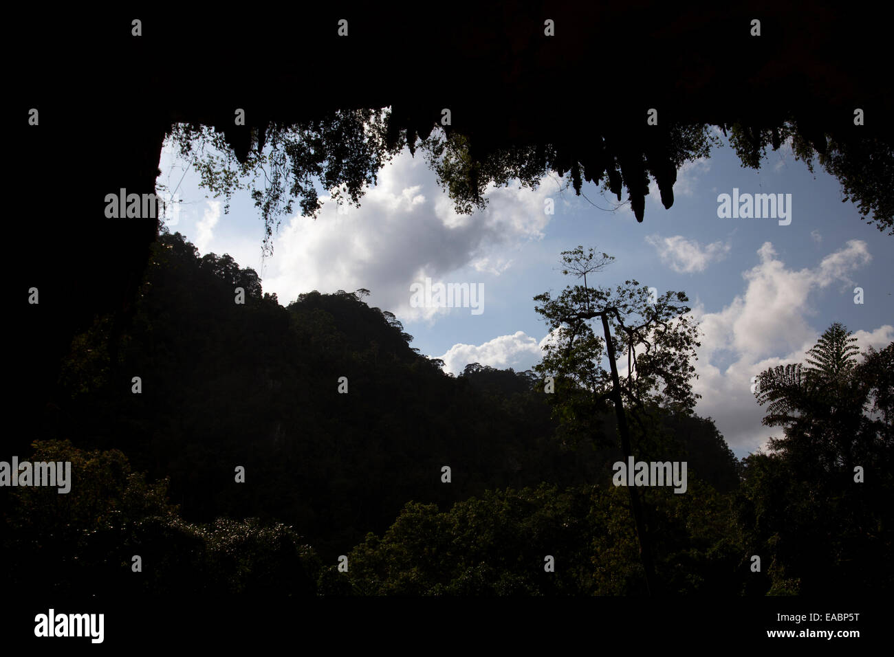 Great Cave entrance at Niah National Park, Sarawak, Malaysia Stock ...