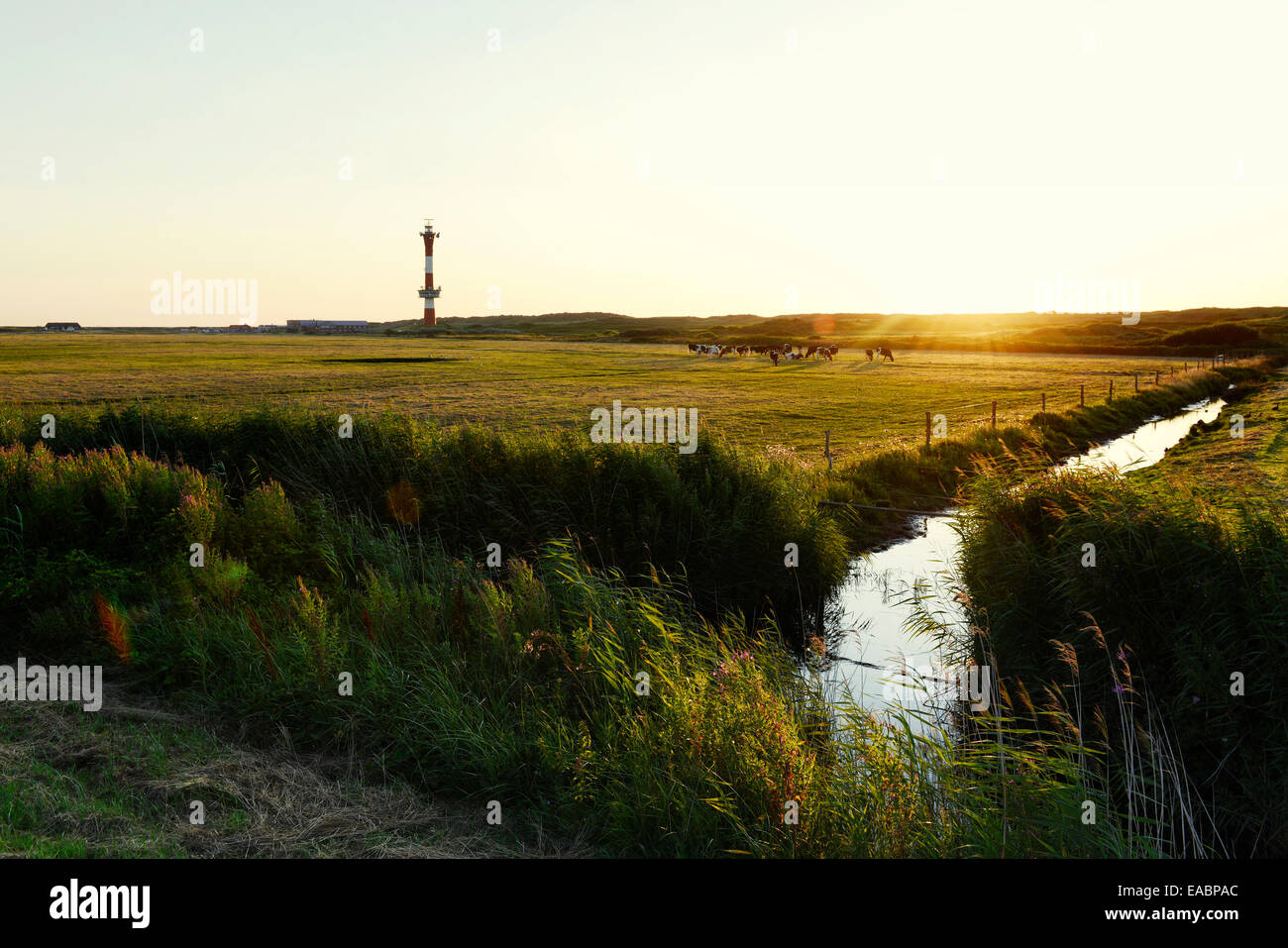 The new lighthouse at the german north sea island Wangerooge in the ...