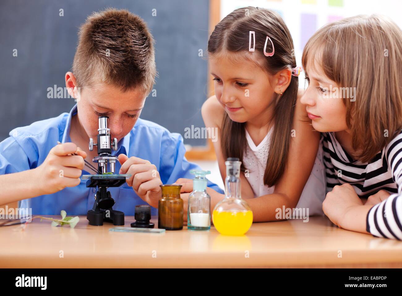 Interesting microscope hi-res stock photography and images - Alamy