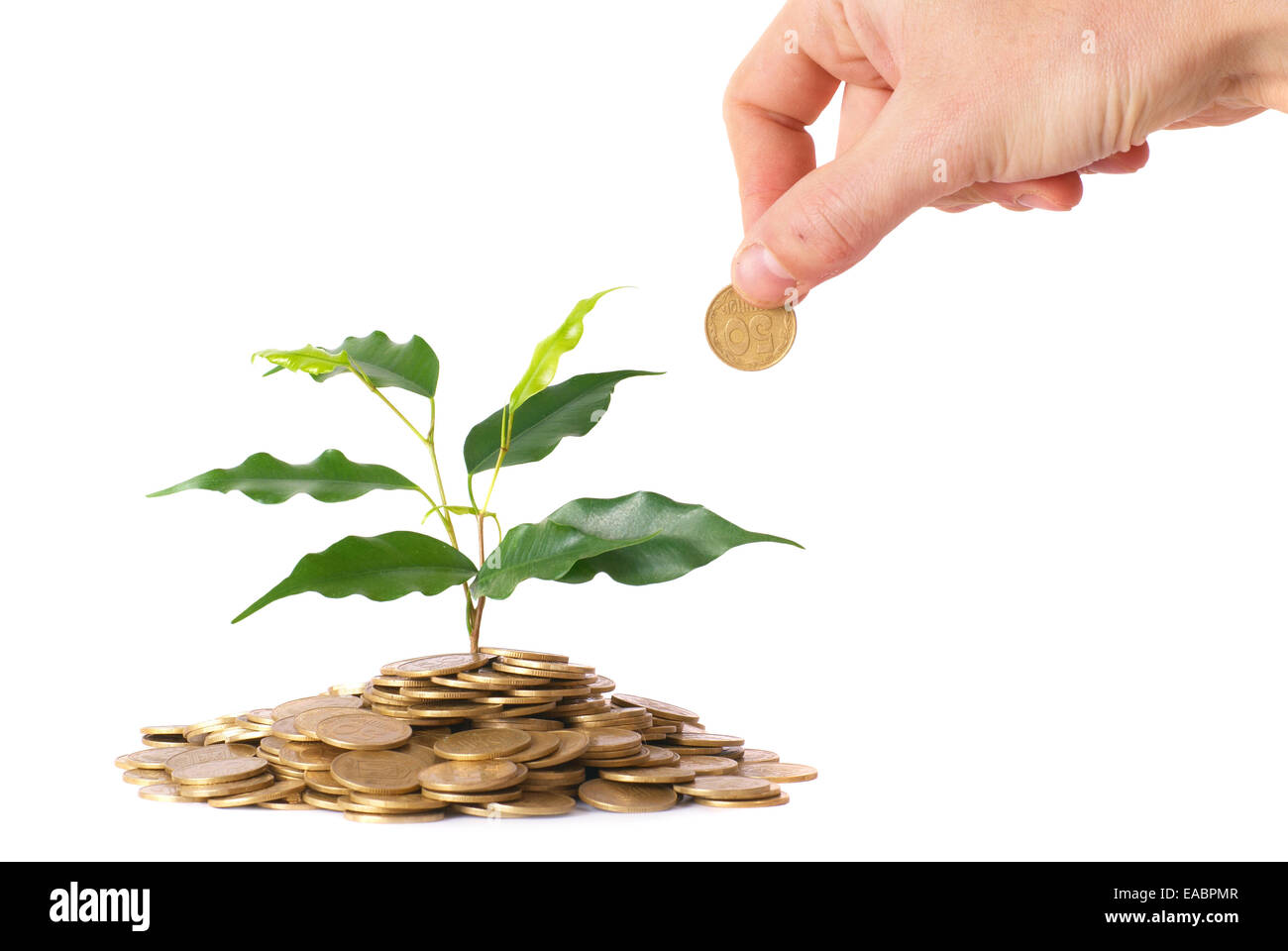 Hand and green plant growing from the coins. Money financial concept ...