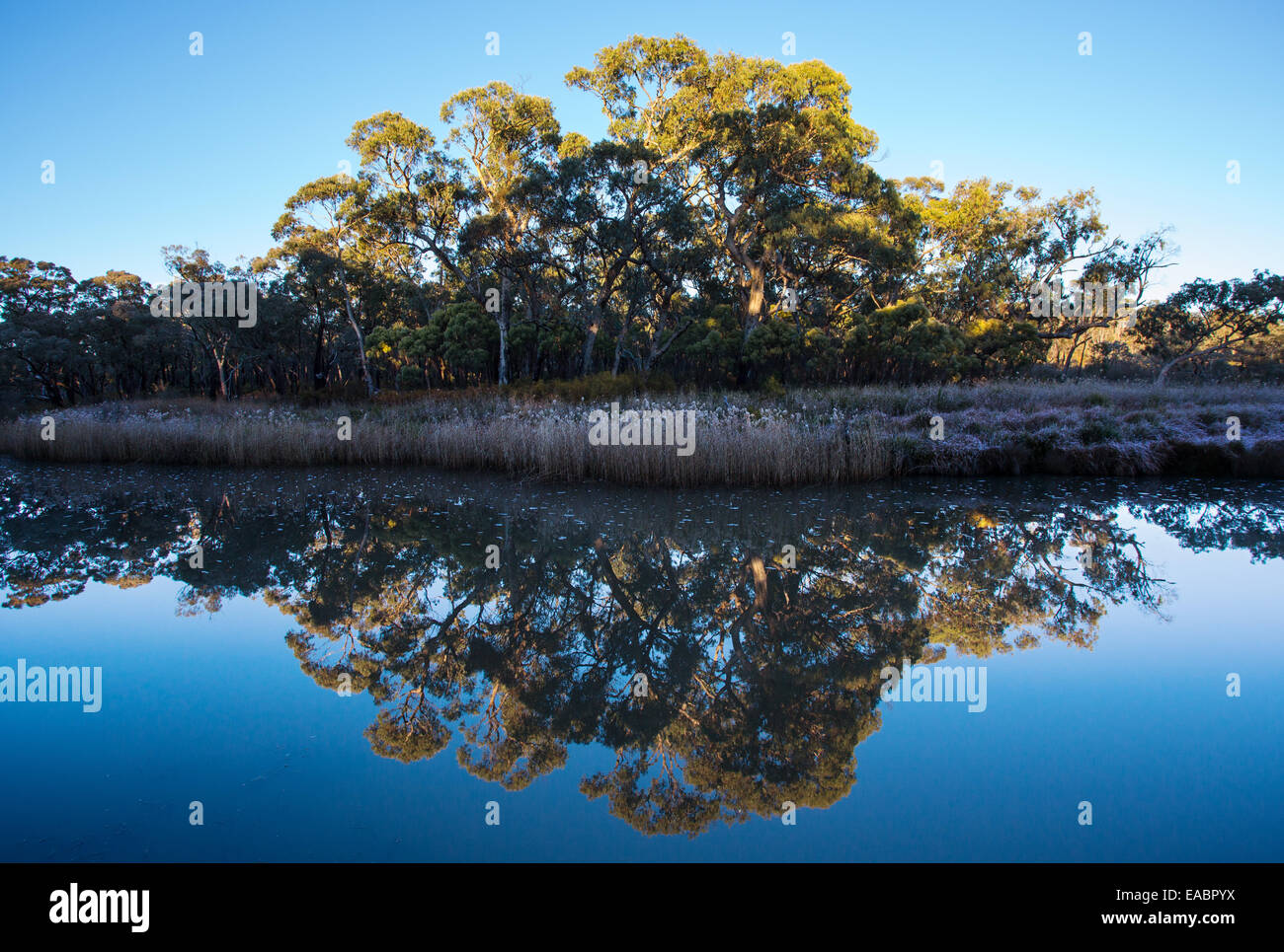 Kings plains national park hi-res stock photography and images - Alamy