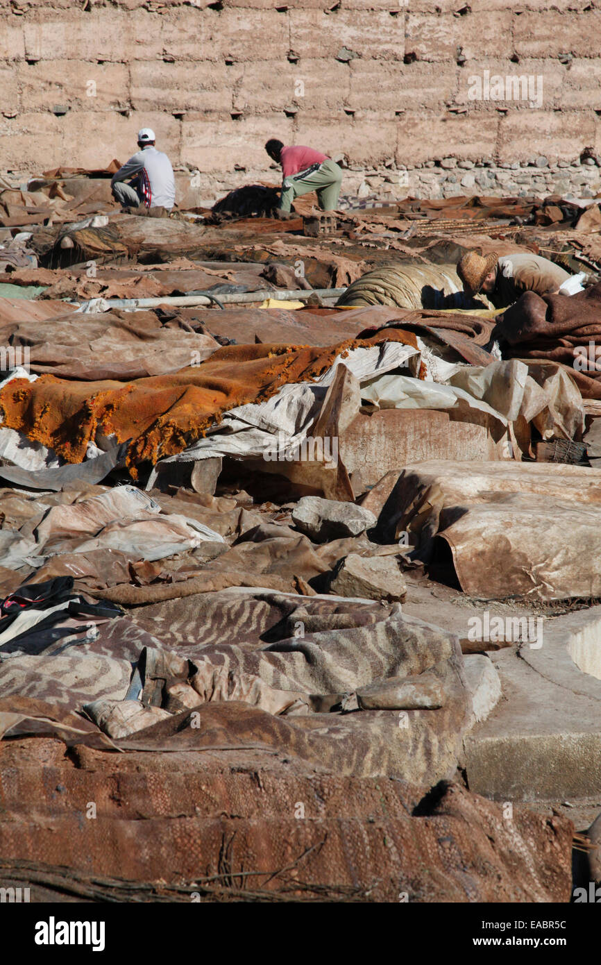 Africa Morocco Marrakesh Tannery tanning of leather Stock Photo - Alamy