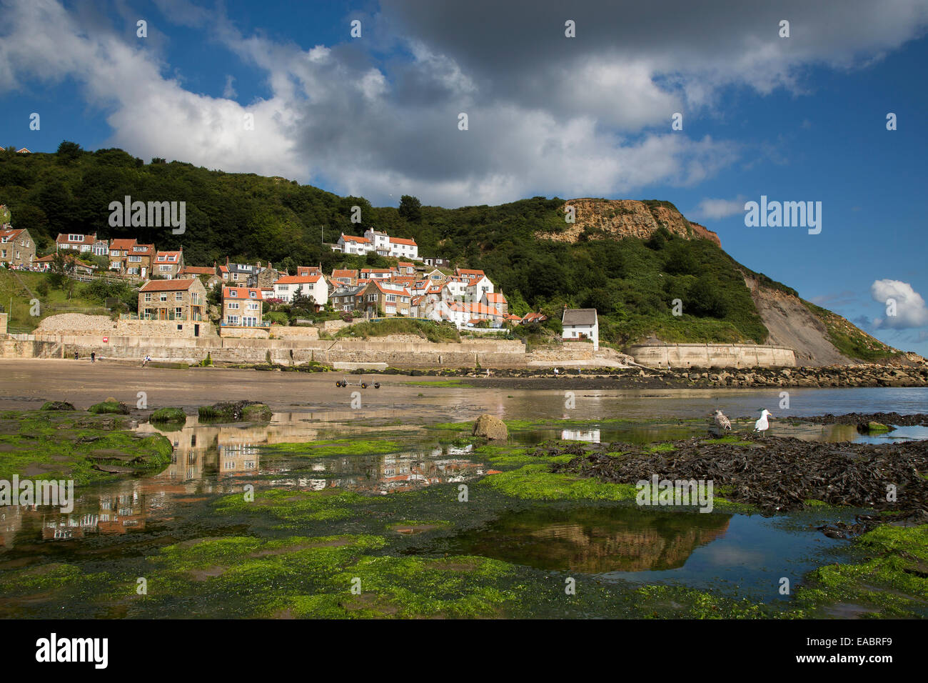 Runswick Bay, North Yorkshire Coast, North York Moors National Park ...