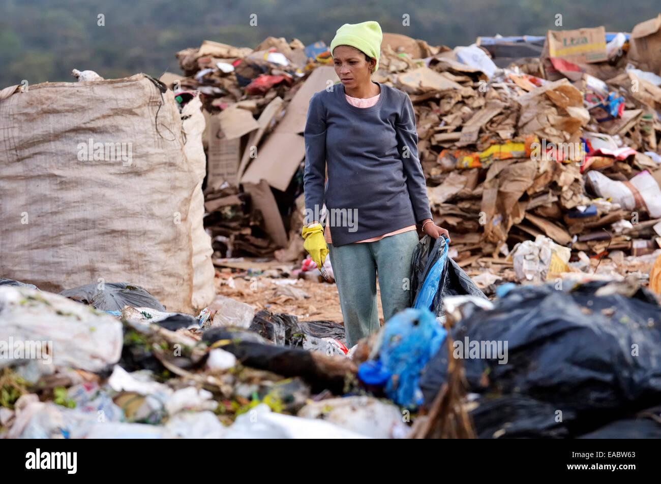 Brazil Estrutural near Brasilia woman collecting waste on a dump Stock ...