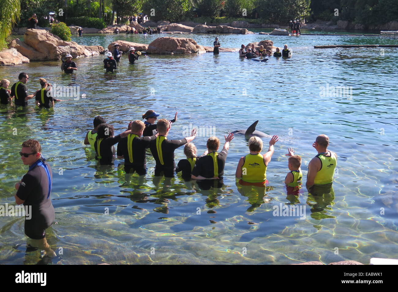 Discovery Cove, Orlando, Florida Stock Photo - Alamy