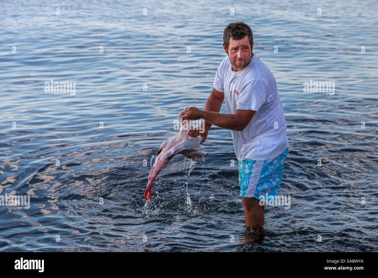 A fisherman cleaning fish in the sea Stock Photo - Alamy