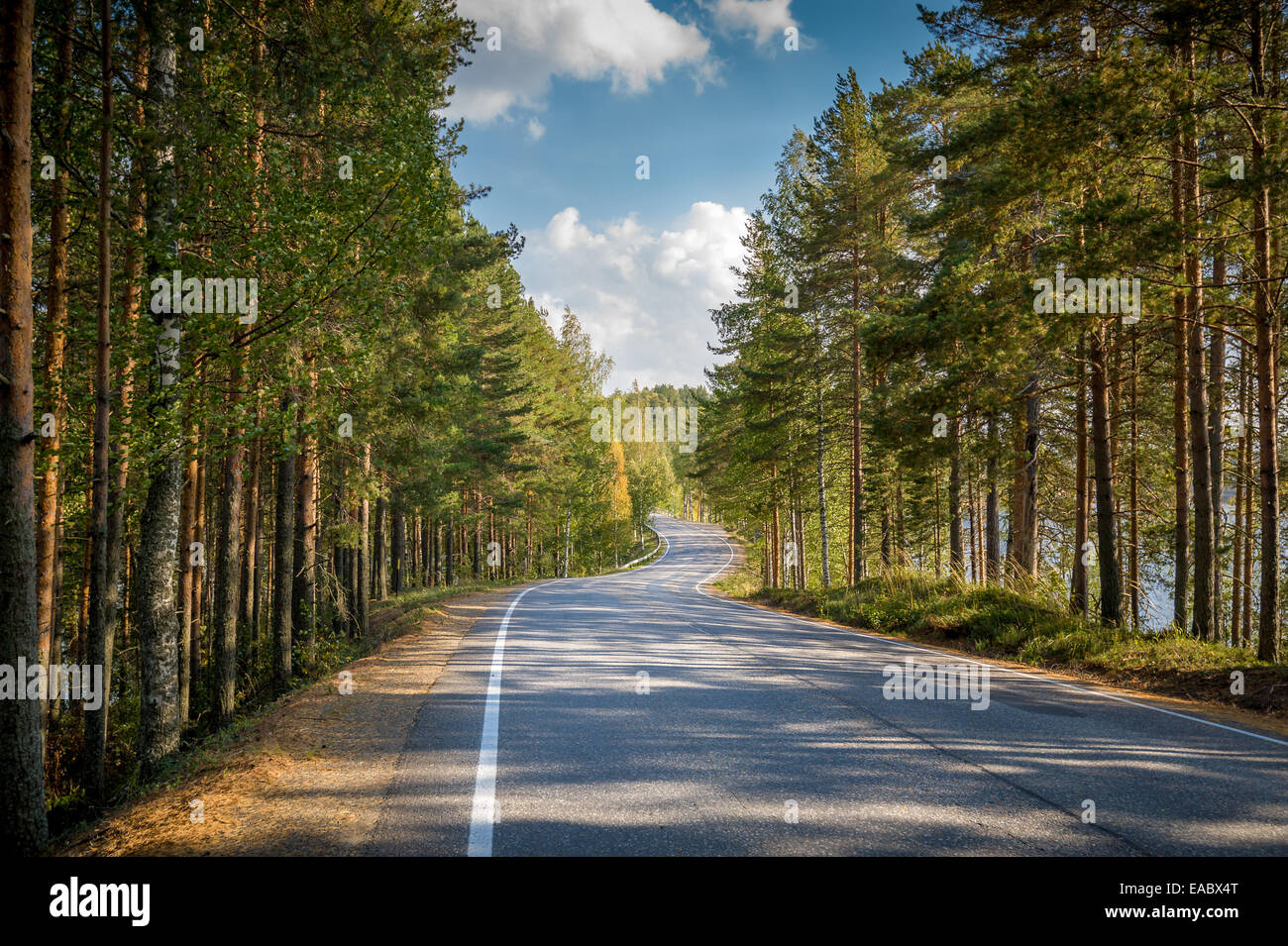 Finland forest road hi-res stock photography and images - Alamy