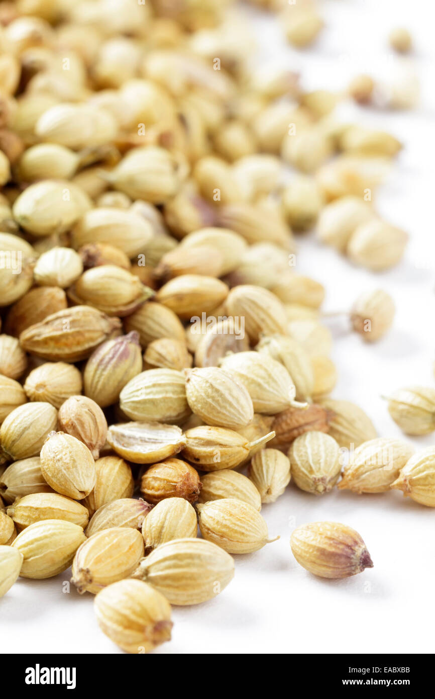 Coriander seeds hi-res stock photography and images - Alamy