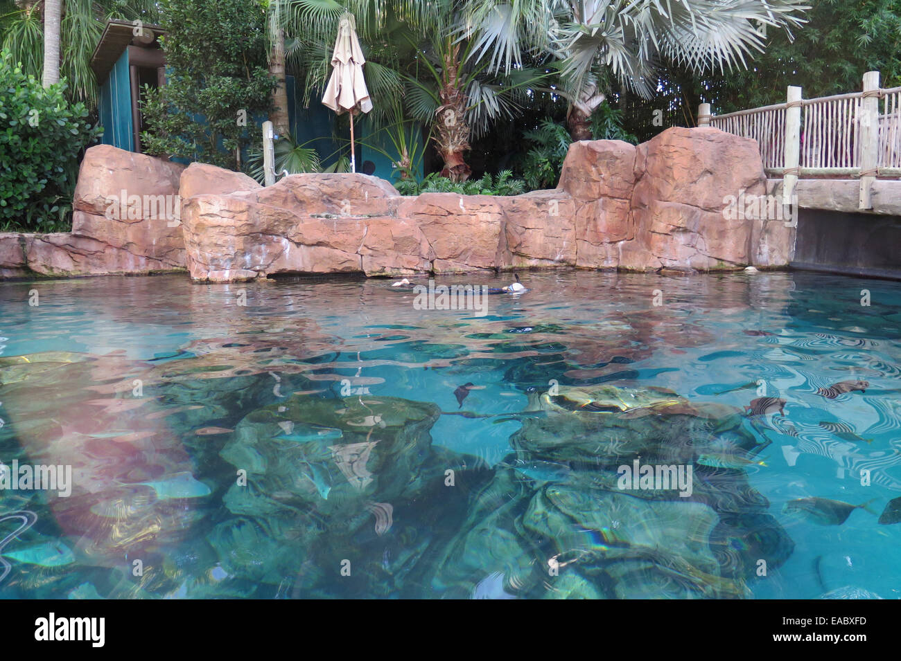 Discovery Cove, Orlando, Florida Stock Photo - Alamy