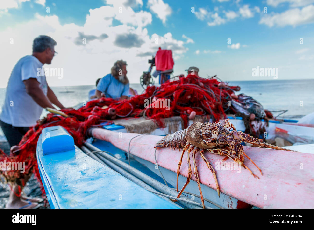 Fisherman's morning catch Stock Photo - Alamy
