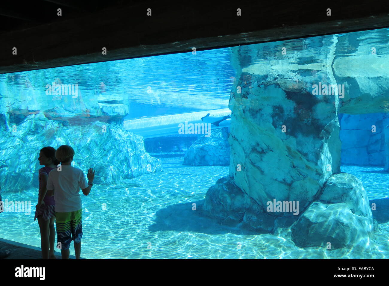 Aquatica Seaworld Orlando Florida Stock Photo - Alamy
