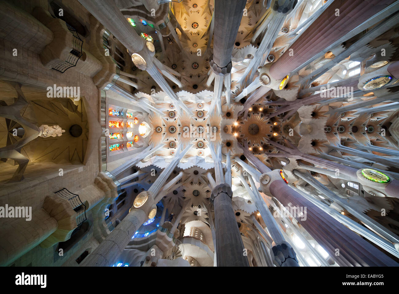 Vault and treelike columns of the Sagrada Familia church by Antoni ...