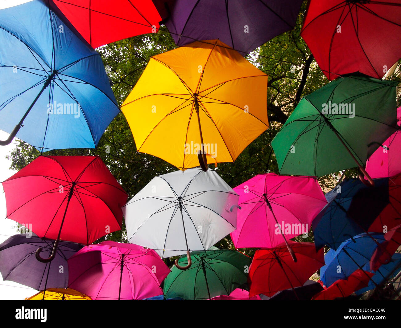 Umbrellas with different colors creating a colorful background Stock ...