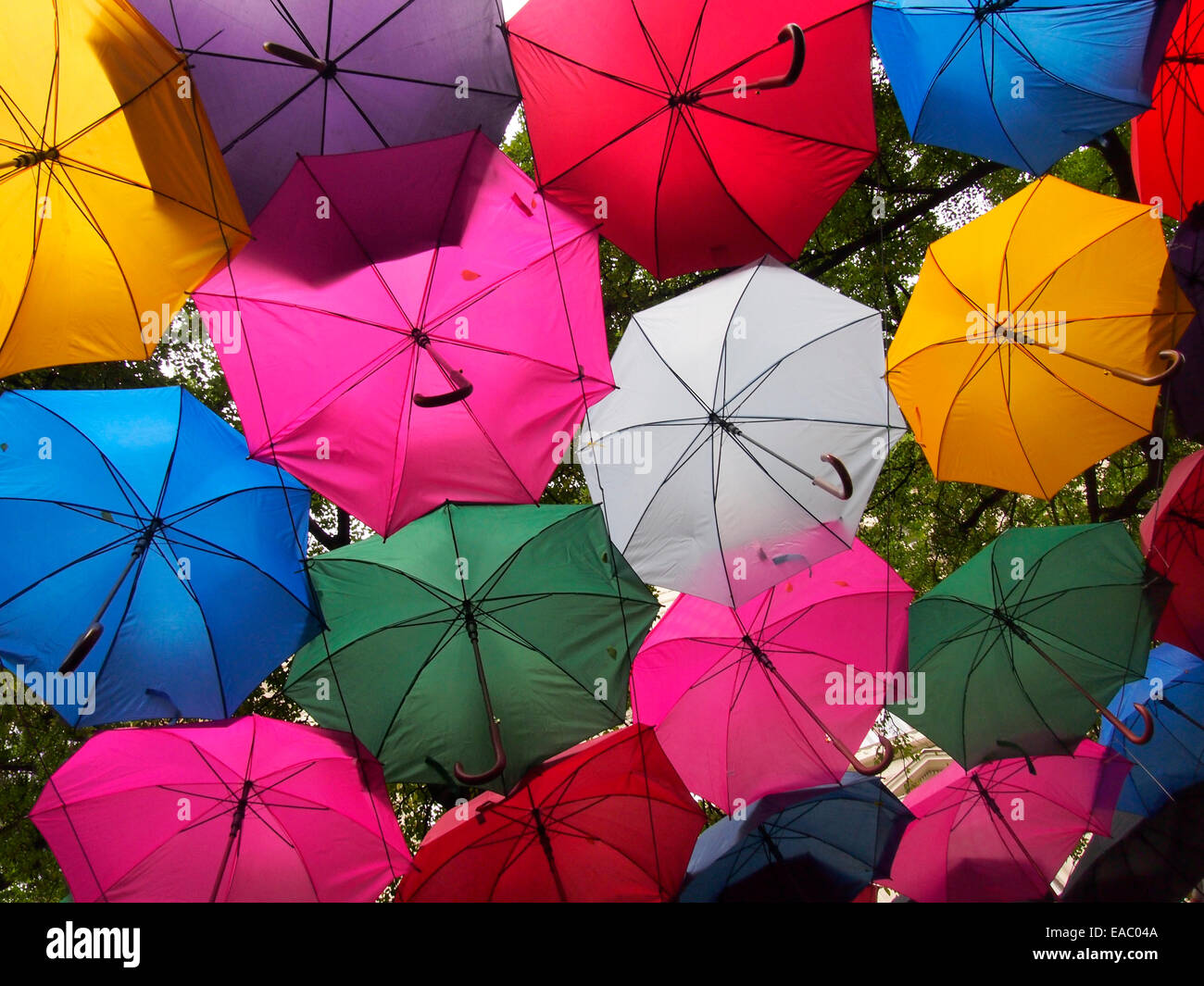 Umbrellas with different colors creating a colorful background Stock ...