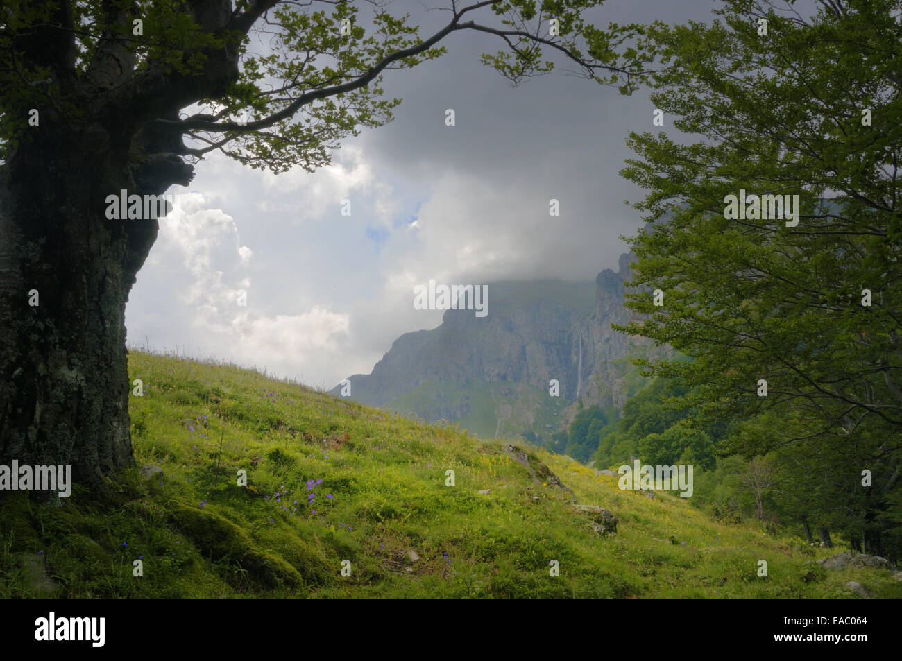 Top down framing hi-res stock photography and images - Alamy