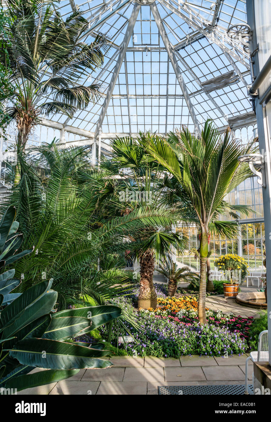 Inside Greenhouse Stock Photos & Inside Greenhouse Stock Images - Alamy
