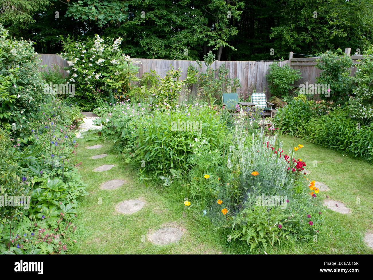 Wildlife garden hi-res stock photography and images - Alamy