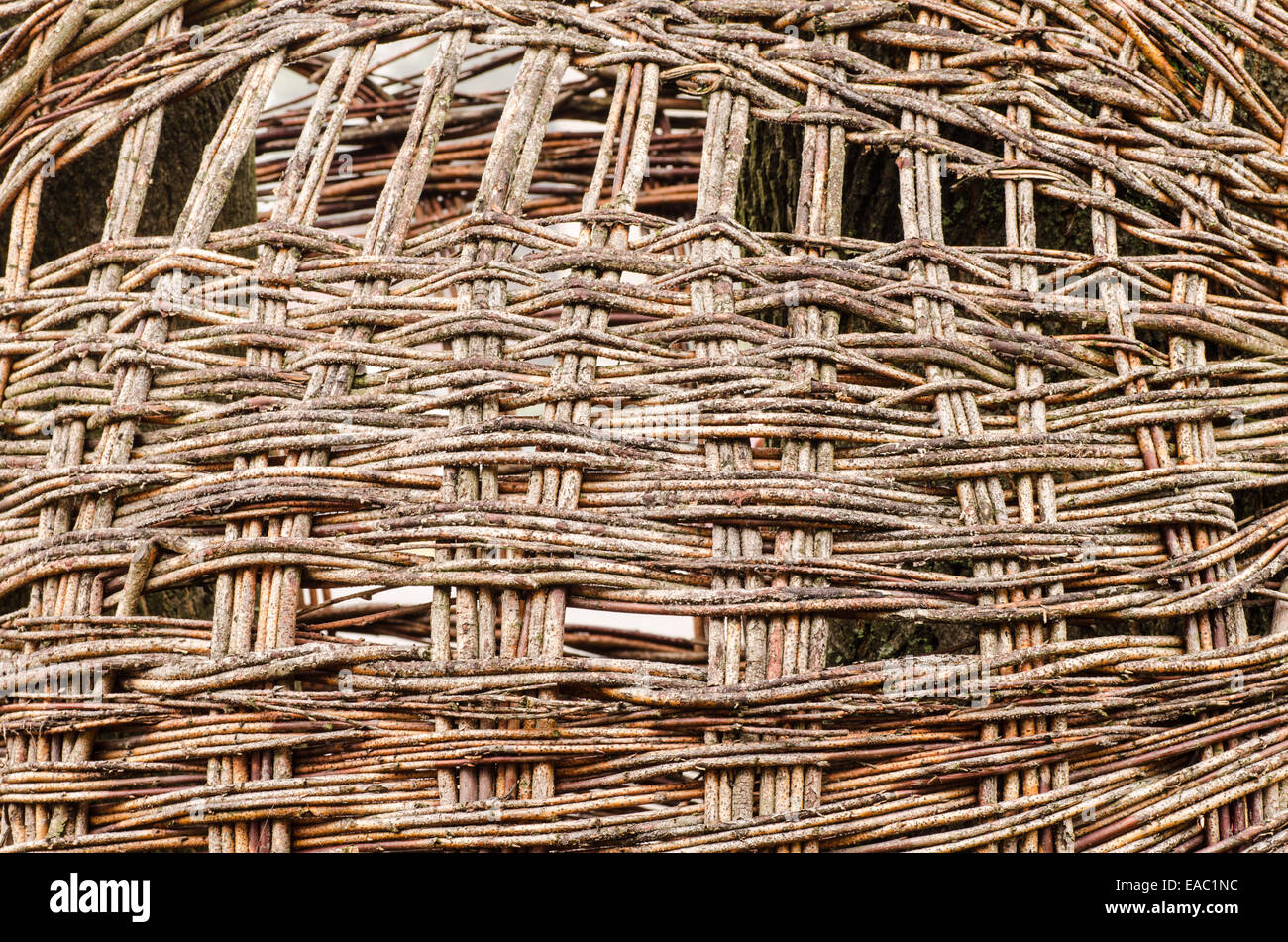 closeup of wicker willow background Stock Photo - Alamy